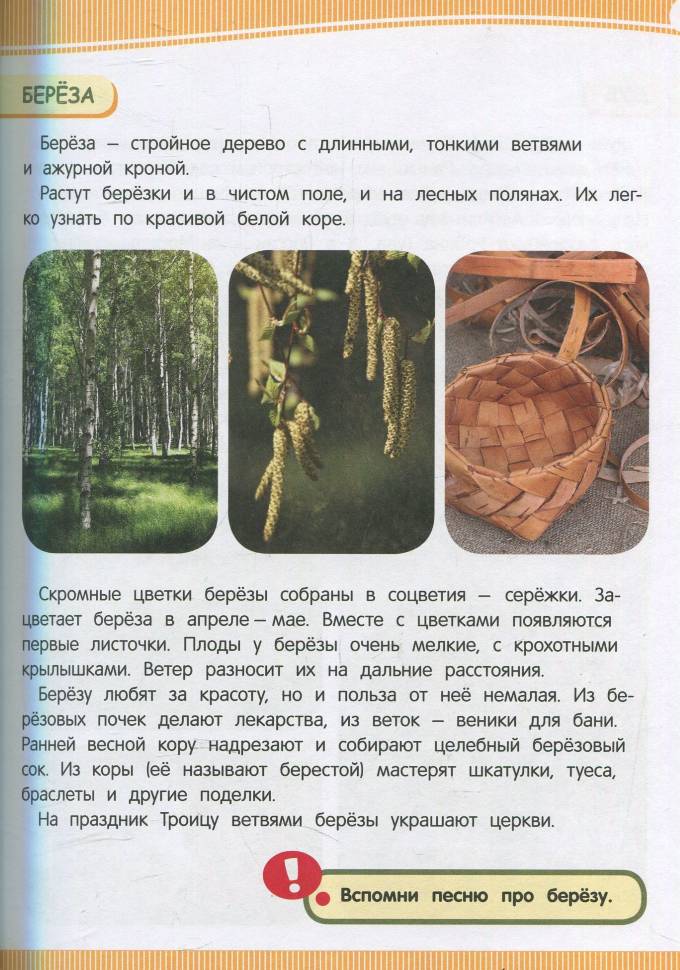 Мир растений - купить в интернет магазине, продажа с доставкой - Днепр ...